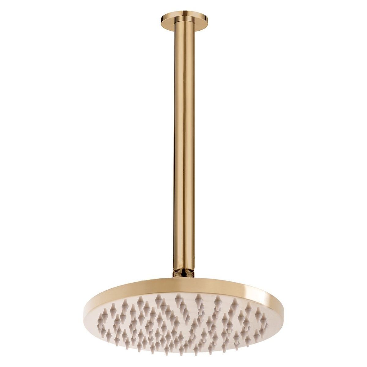 Bloom Shower Rose 200mm and Shower Dropper 300mm in Light Brushed Bras