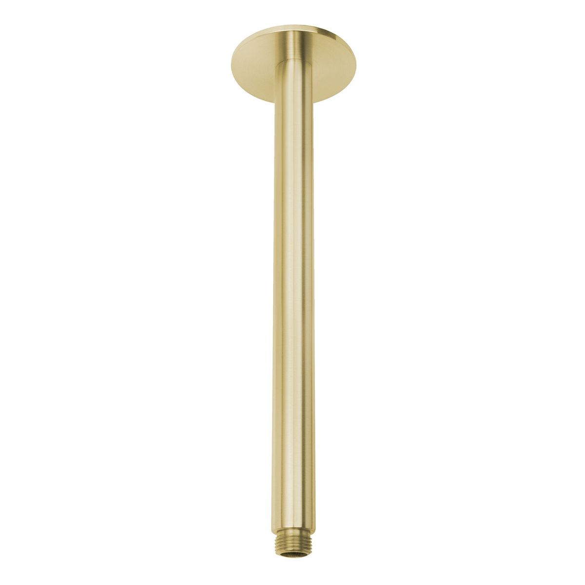 Vivid Ceiling Arm 300mm - Brushed Gold